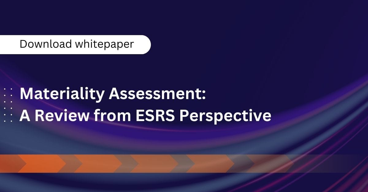Materiality Assessment: A Review from ESRS Perspective