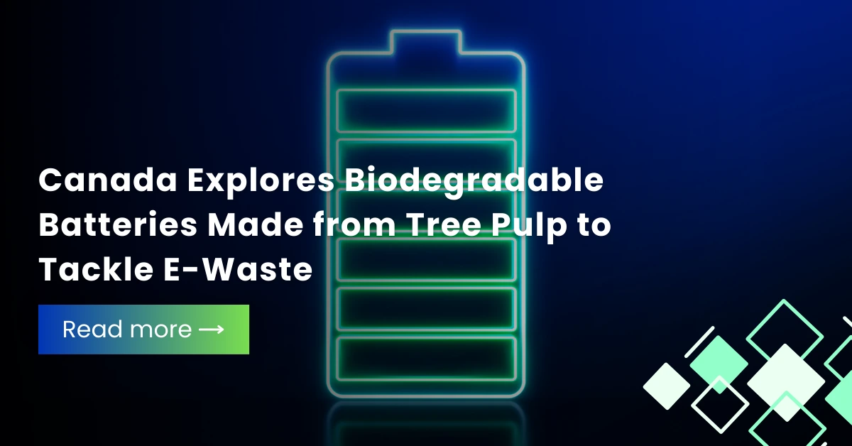 Canada Explores Biodegradable Batteries Made from Tree Pulp to Tackle E ...